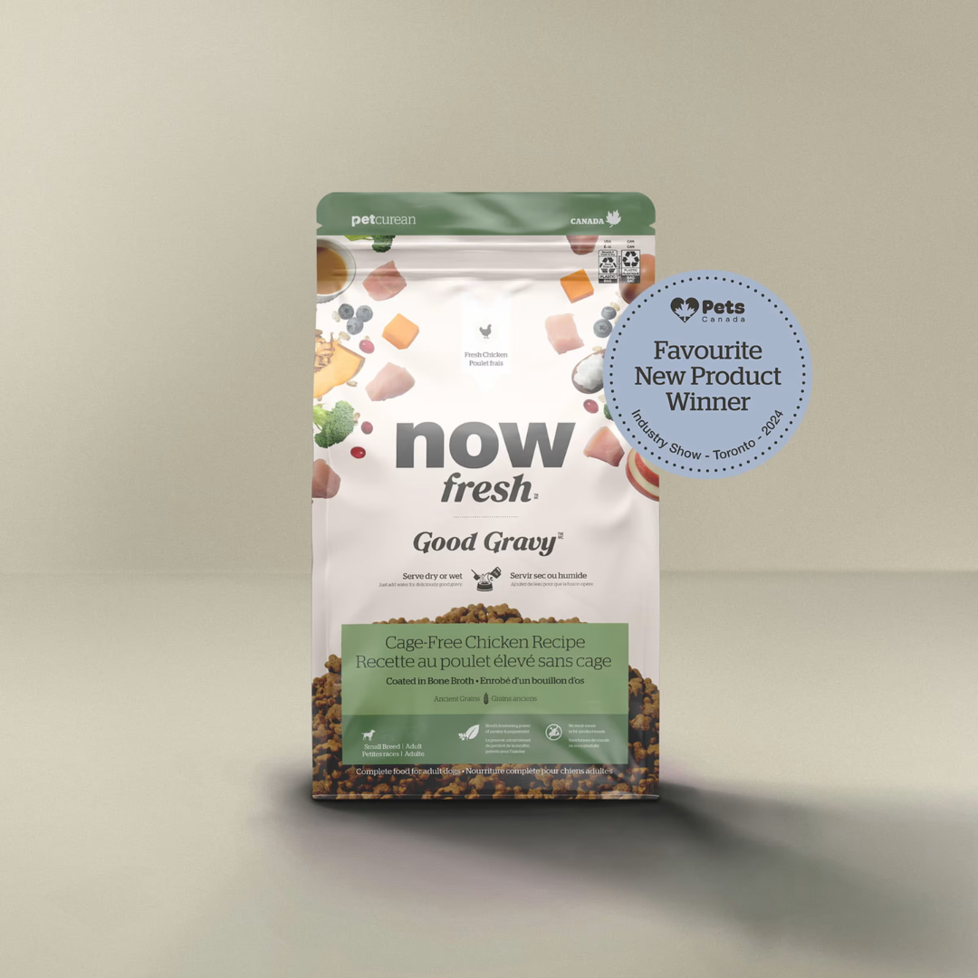NOW FRESH | Good Gravy au poulet, petite race – Nature Animale